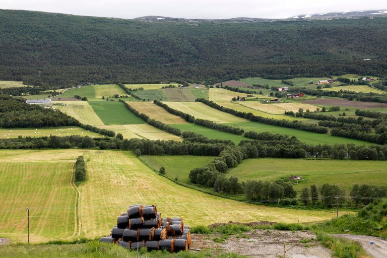 10 fakta om norsk landbruk - Nibio